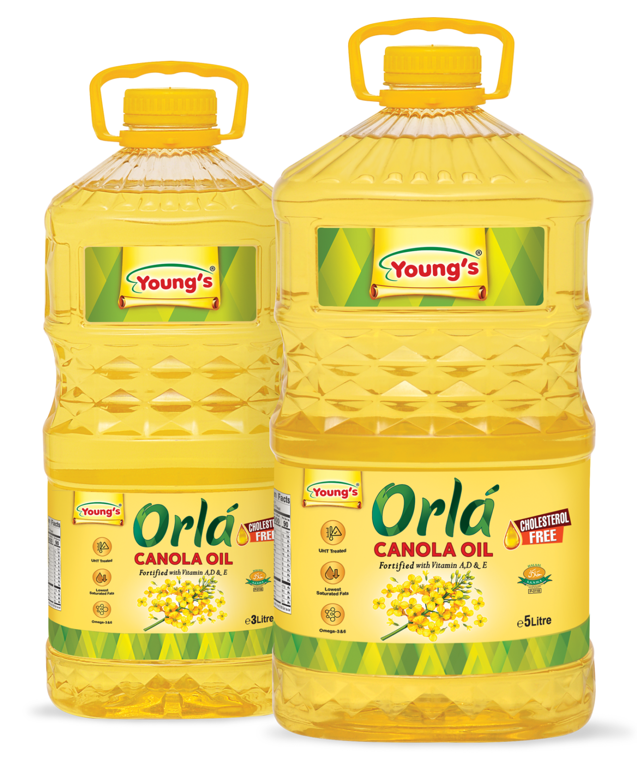 Edible Oil | Youngs Private Limited