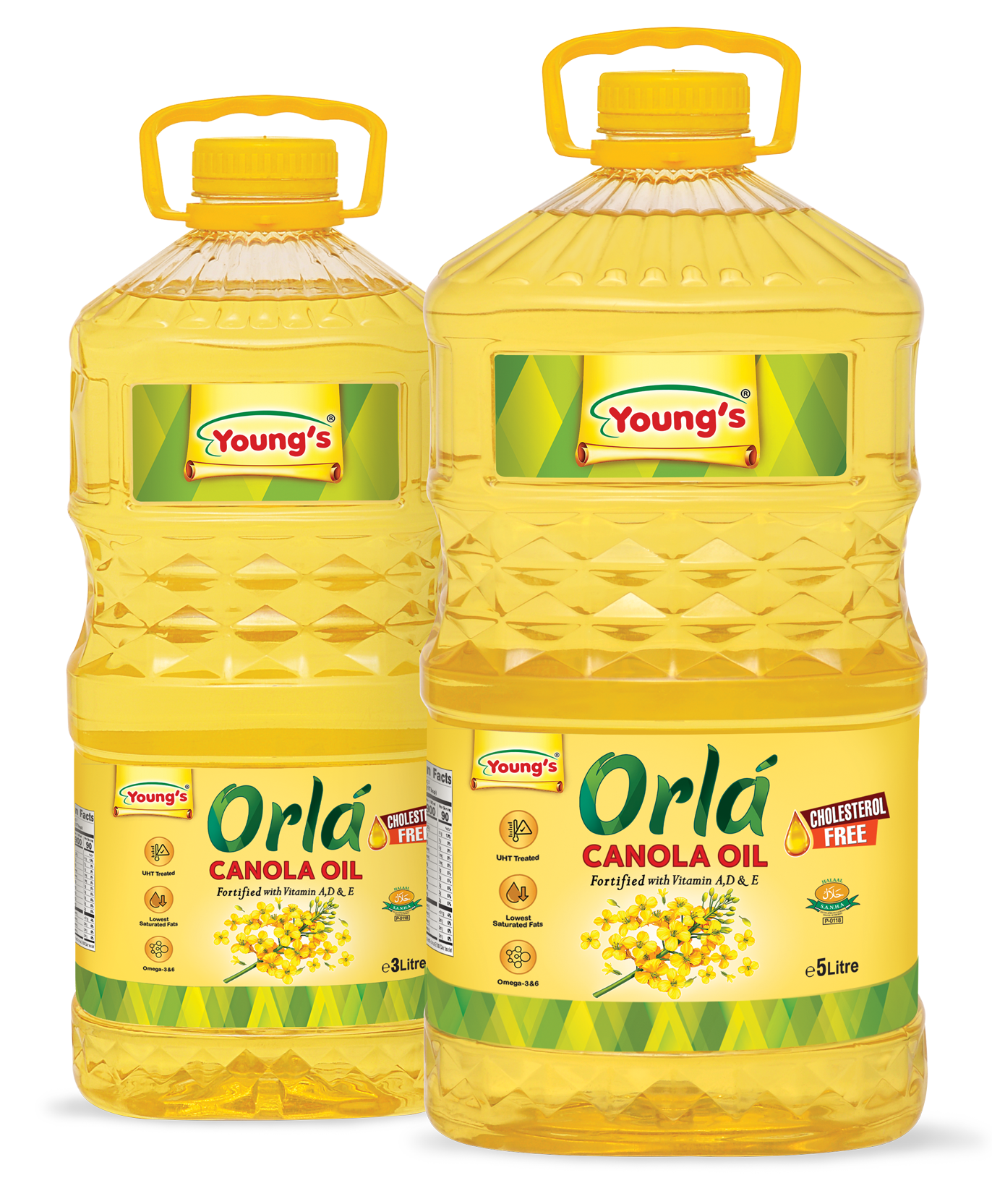 Edible Oil | Youngs Private Limited